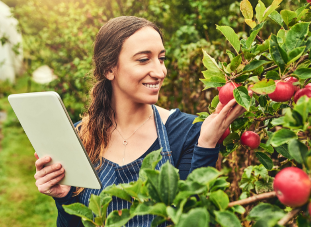 Emerging technologies - Working Groups