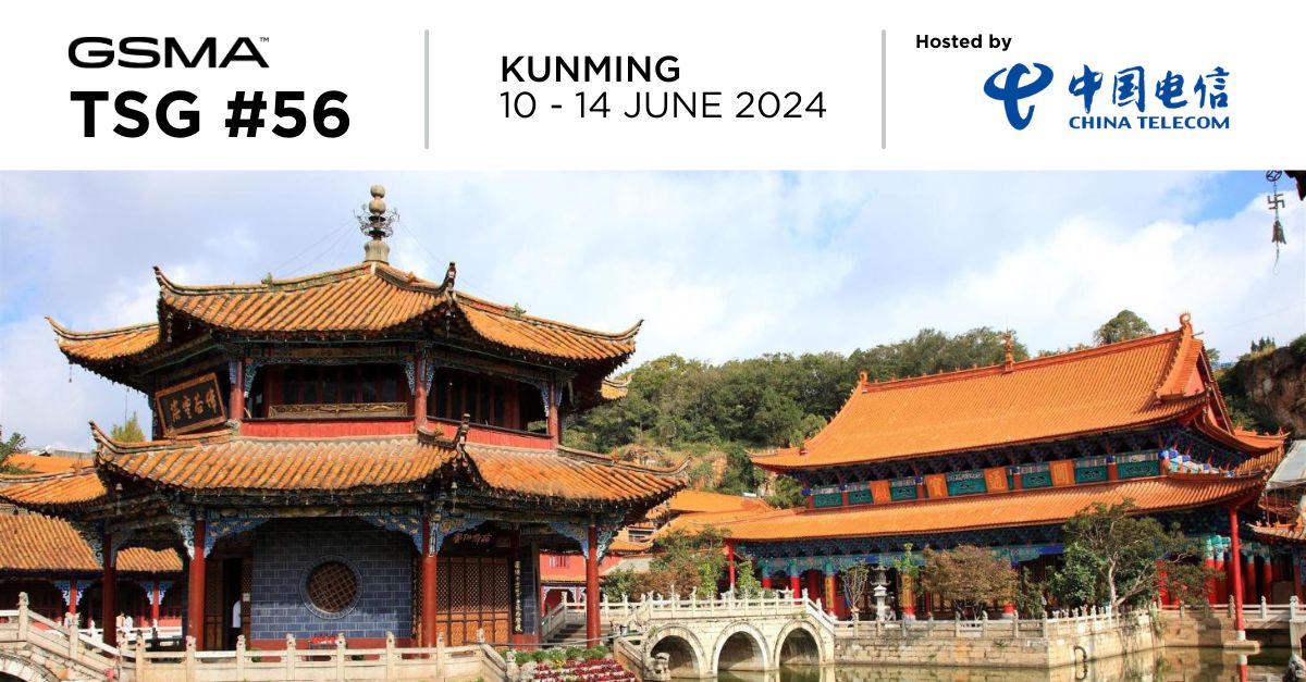 GSMA TSG#56 meetings and workshops - Working Groups