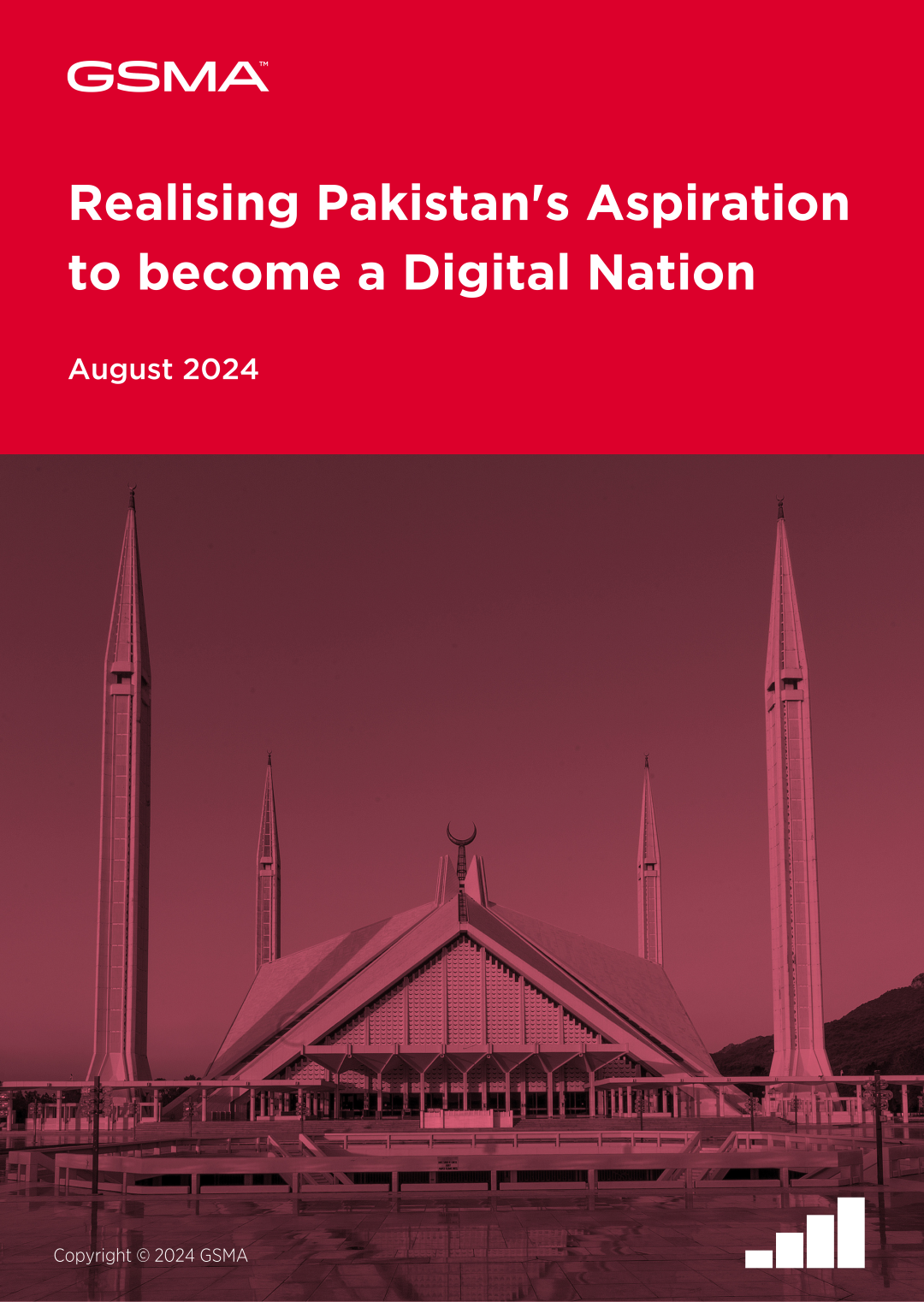 DNS Pakistan article cover v2 (Large) - Newsroom