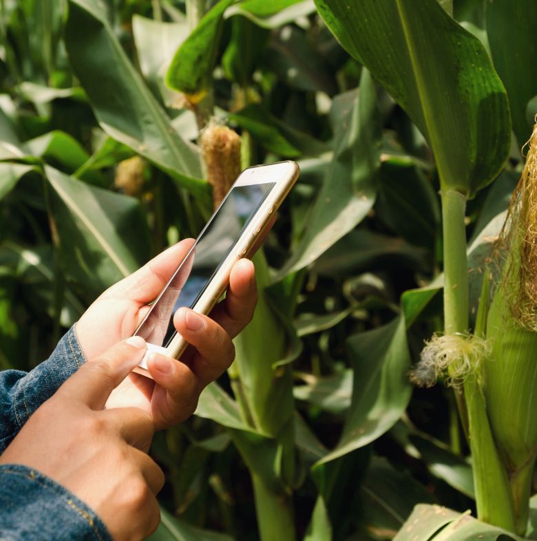 Measuring and Reporting | GSMA Climate Action Toolkit