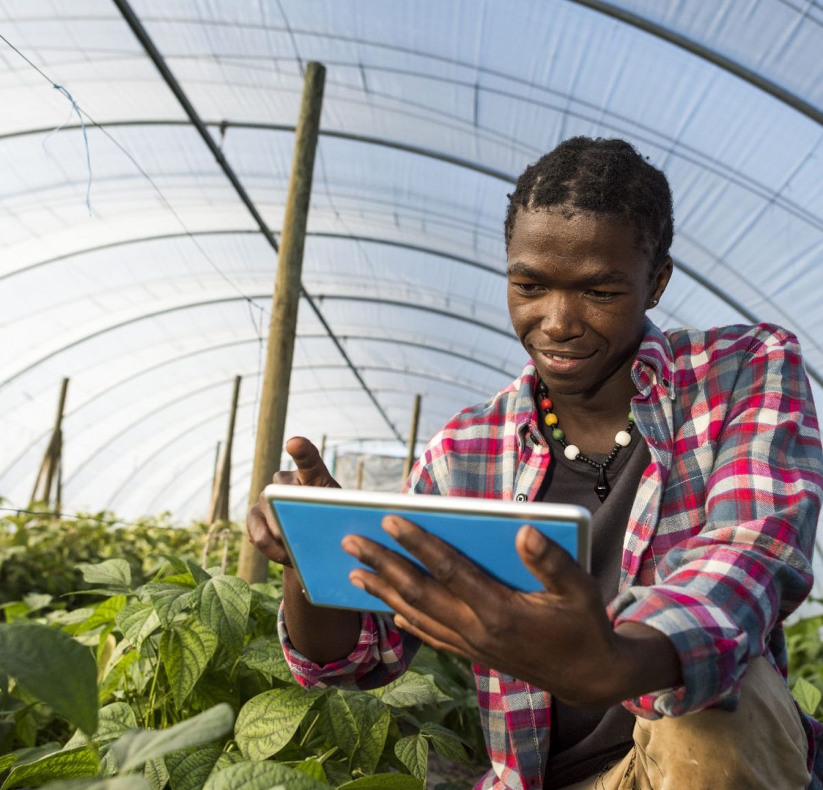 Measuring and Reporting | GSMA Climate Action Toolkit