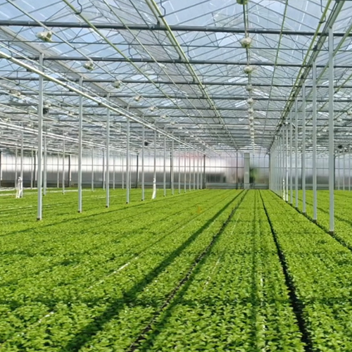 5G Farming - External Affairs