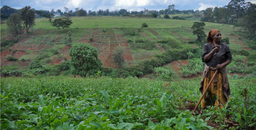 The GSMA mAgri Programme- who we are and what we’ll be blogging about ...