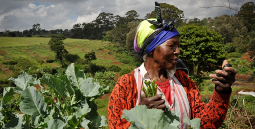 The Market Opportunity for Mobile Agriculture: Highlights from Mobile ...