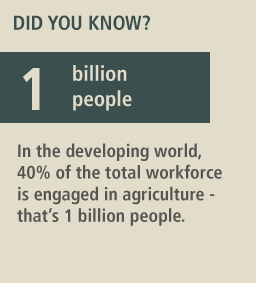 mAgri Focus Areas | Mobile for Development