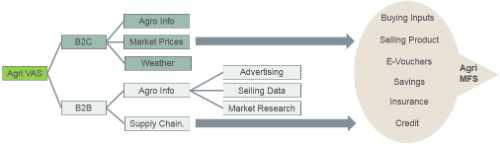 Mobile Financial Services for smallholder farmers on the table at G20