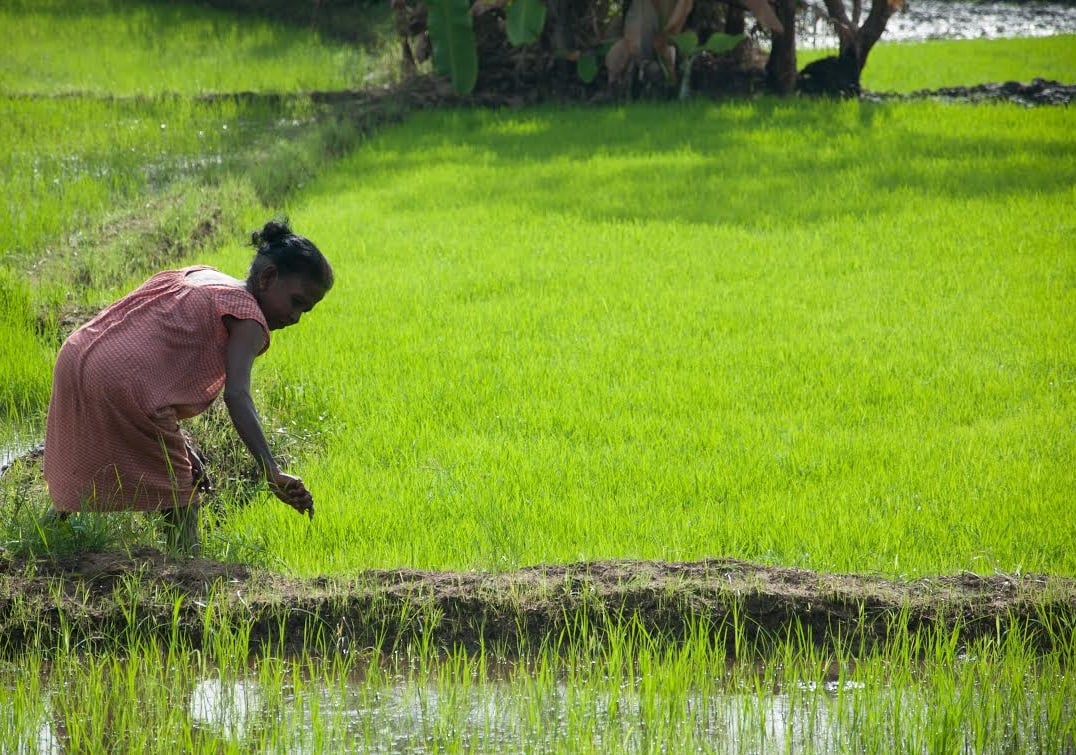 Dialog Sri Lanka – putting farmers at the core of service design ...