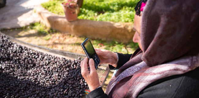 The role of digital in improving traceability and certification in the ...