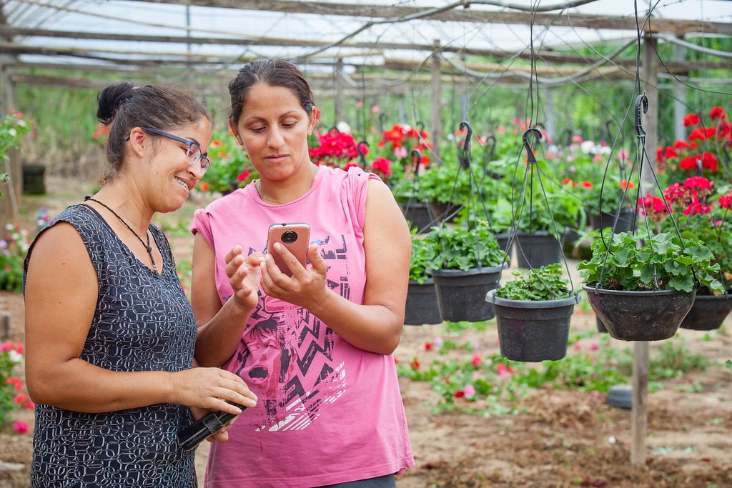 The role of digital in improving traceability and certification in the ...