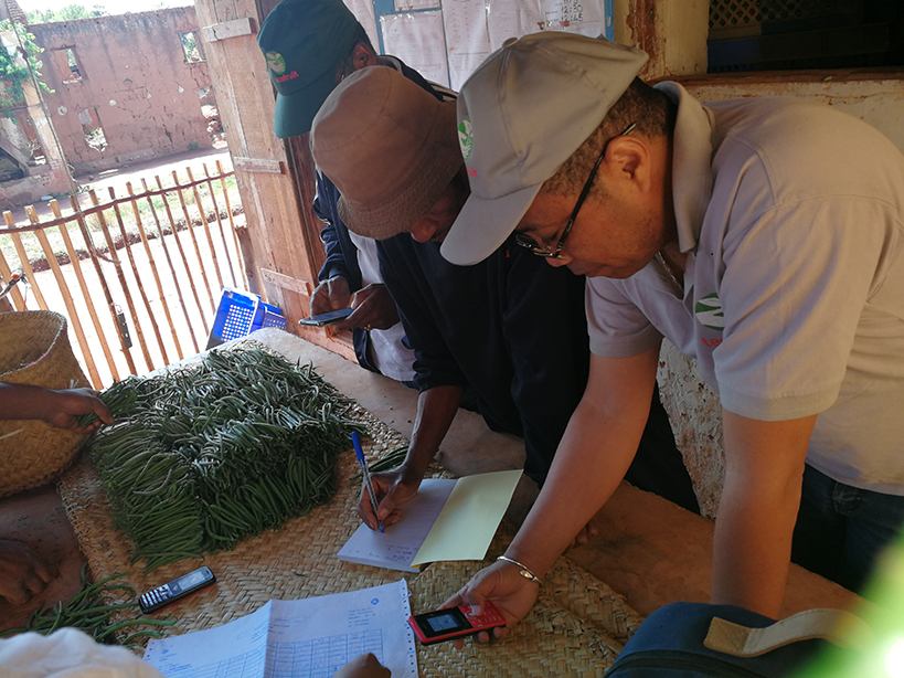 Key lessons from digitisating the green bean value chain in Madagascar ...