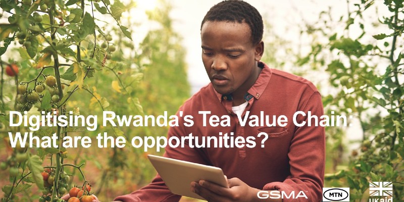 Digitising Rwanda's Tea Value Chain: What are the opportunities ...