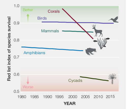 A biodiverse planet is more than just a "nice-to-have" | Mobile for ...