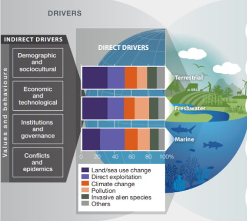 A biodiverse planet is more than just a "nice-to-have" | Mobile for ...