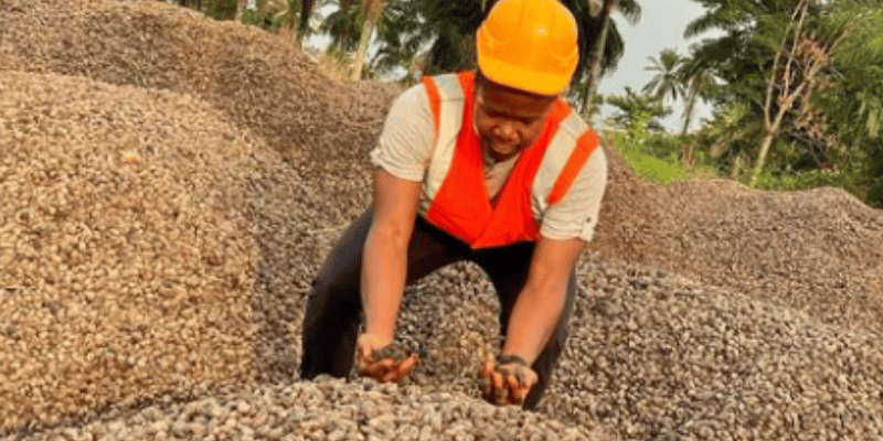 J-Palm Liberia: Transforming sustainable palm oil through mobile ...