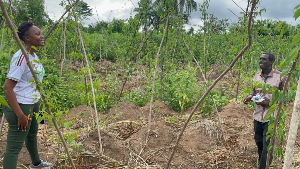 GSMA Innovation Fund | Mobile for Development