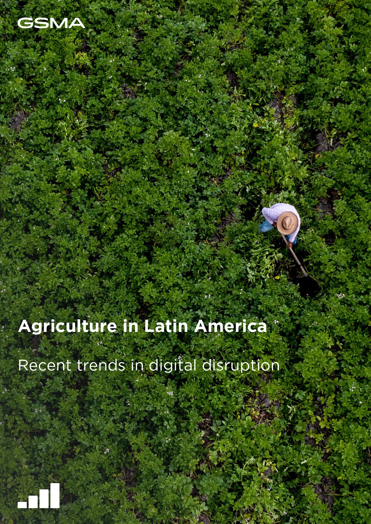 Agriculture in Latin America: Recent trends in digital disruption ...