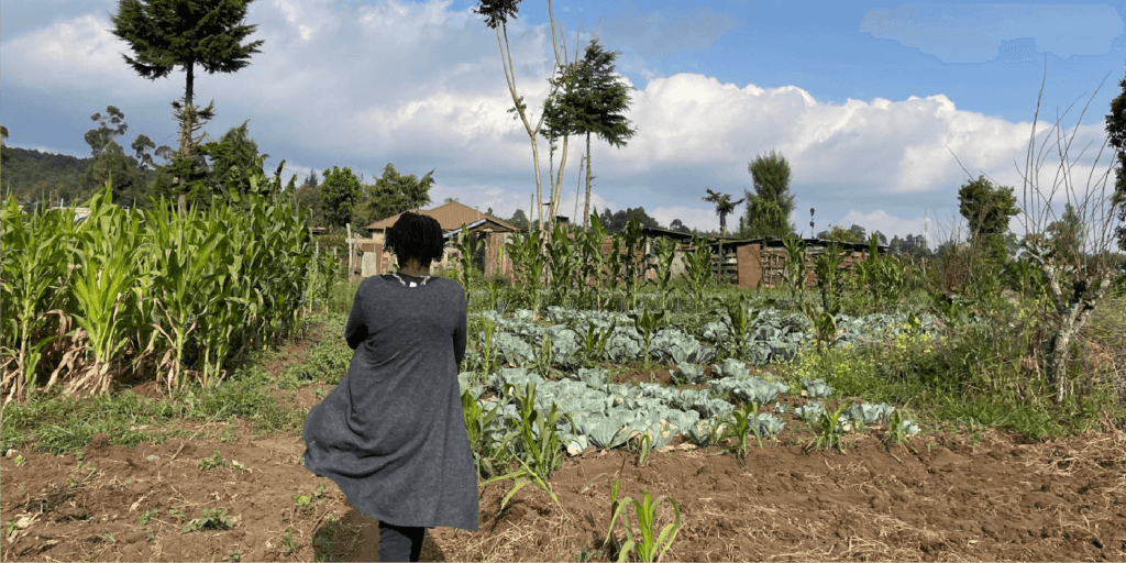 Transforming food loss and waste in Kenya: Reflections from a market ...