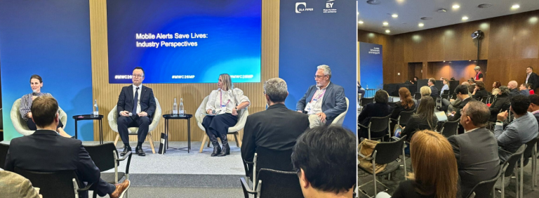 Partnerships that deliver: Progressing digital humanitarian action at ...