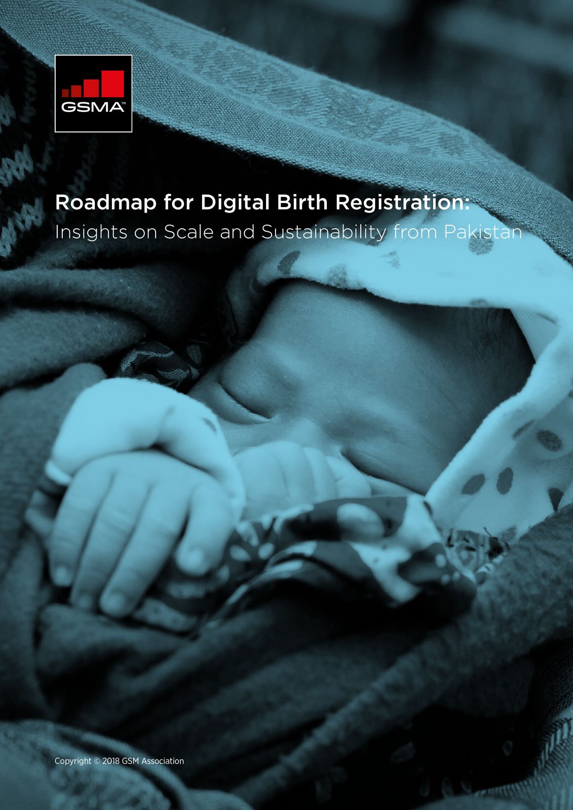 Roadmap for Digital Birth Registration: Identity for every child ...