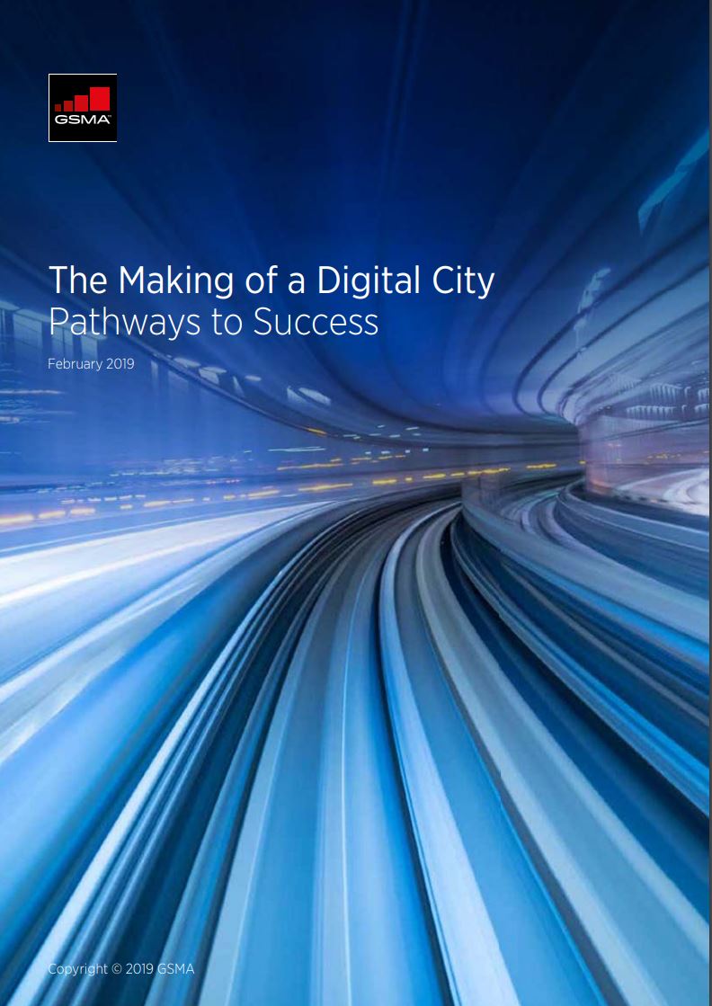 The Making of a Digital City: Pathways to Success - Public Policy
