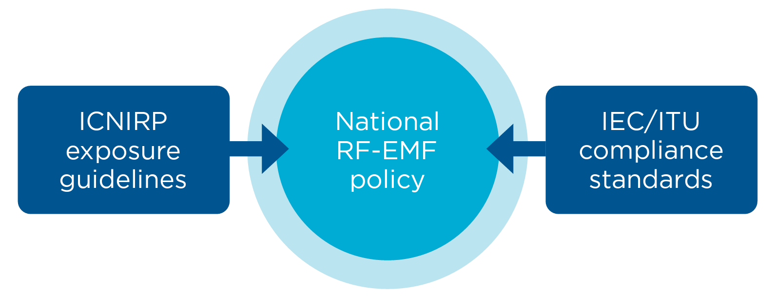 The Year Ahead in Digital Policy: Policy for Electromagnetic Fields and ...