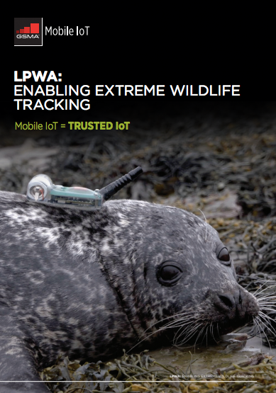 LPWA: Enabling Extreme Wildlife Tracking | Internet of Things
