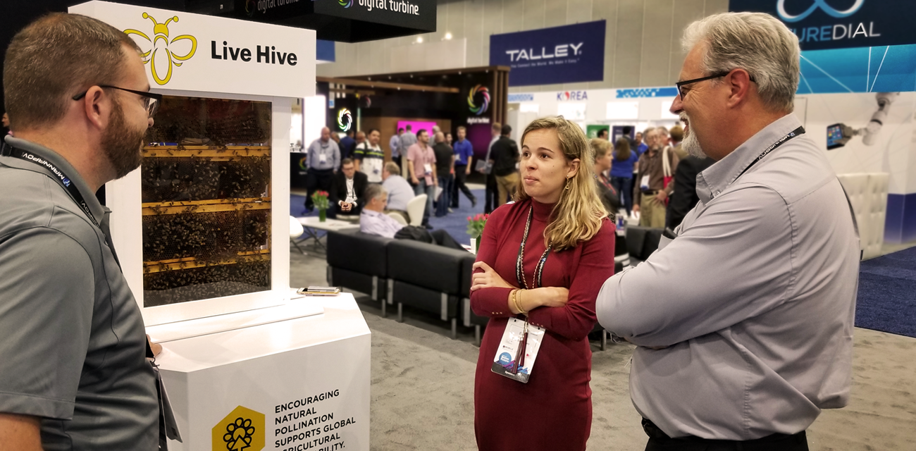 Exclusive Interview: Keeping Bees Safe and Sound | Internet of Things