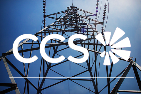Innovator Profile: CCS - Networks