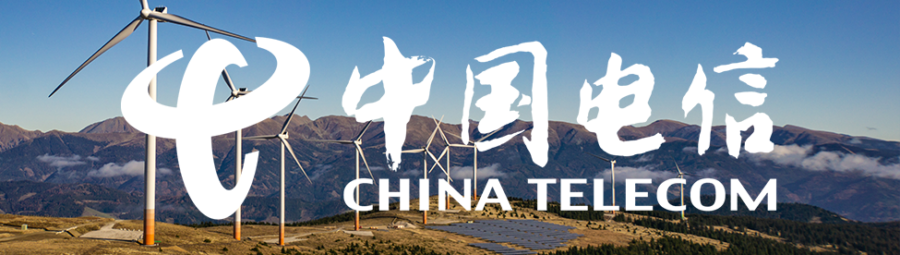 Innovator Profile: China Telecom - Networks