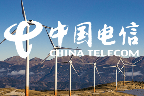 Innovator Profile: China Telecom - Networks