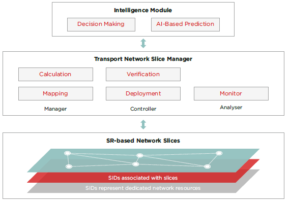 Case Study: China Telecom - Networks