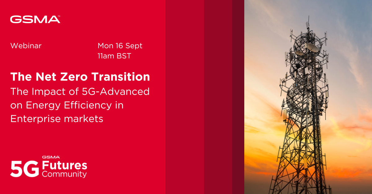 The Net Zero Transition Webinar - Networks