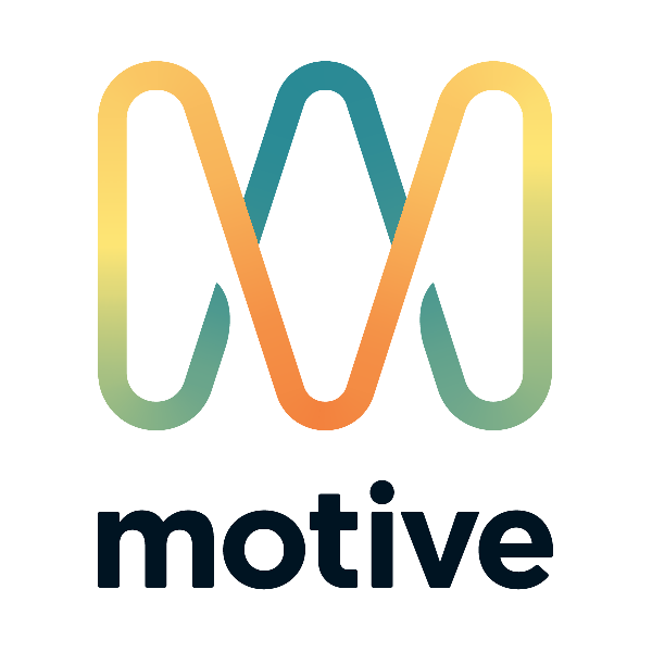 Motive - Networks